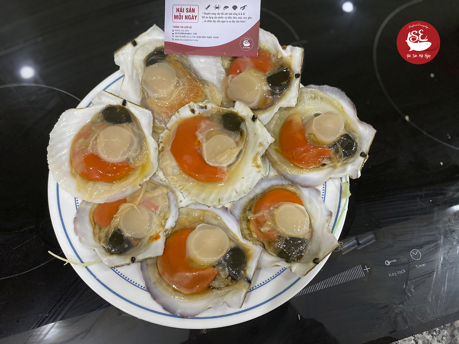 Sò Điệp Nhật - HẢI SẢN MỖI NGÀY